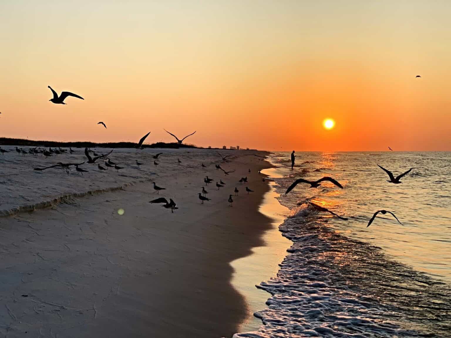 How To See ALL the National Seashores in 5 Short Trips ...