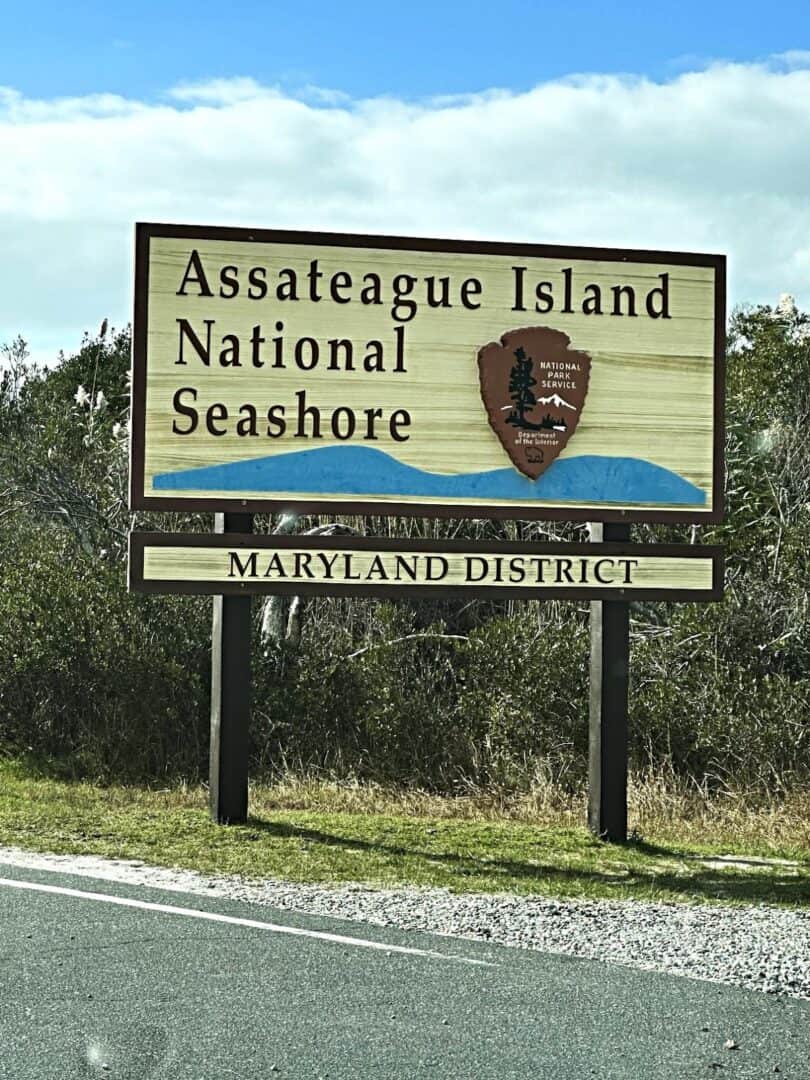 How To See ALL the National Seashores in 5 Short Trips ...